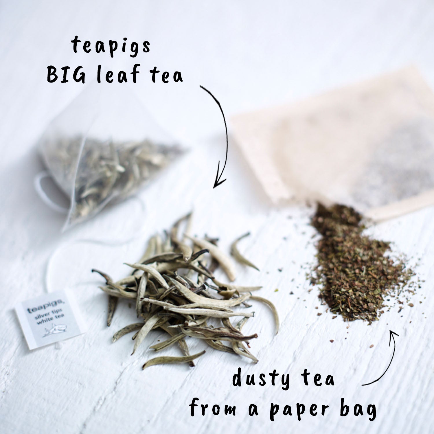White Tea Leaves